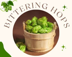 Brew Better Tasting Beer by Growing Your Own Distinct Hops In Dakoa