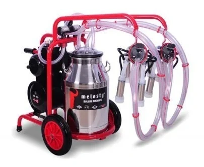 From Farm to Table: Setting Up a Micro Dairy for Small-Scale, Dakoa