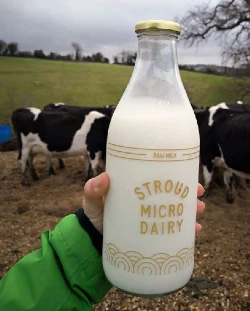 From Farm to Table: Setting Up a Micro Dairy for Small-Scale, Dakoa