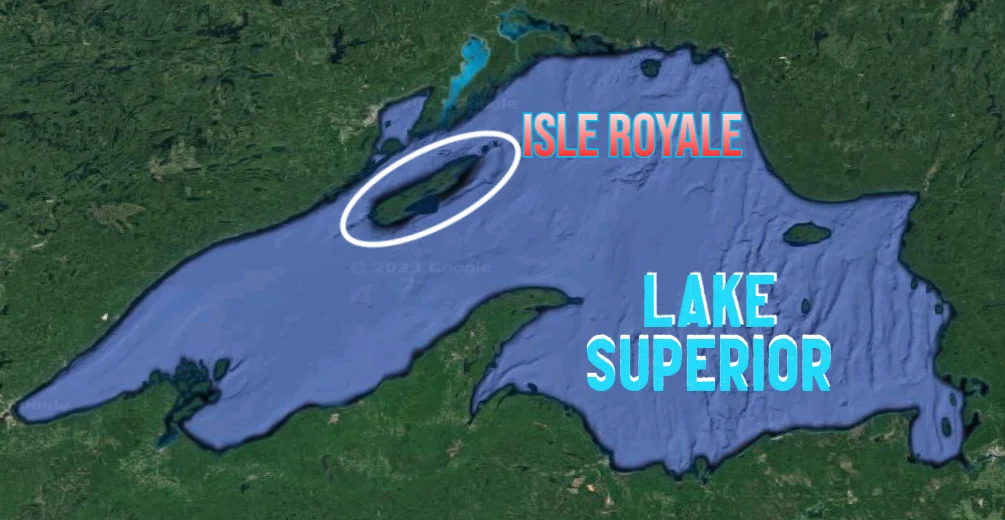 The Remarkable Story of a Lone Wolf Restoring Balance to an Ecosystem And