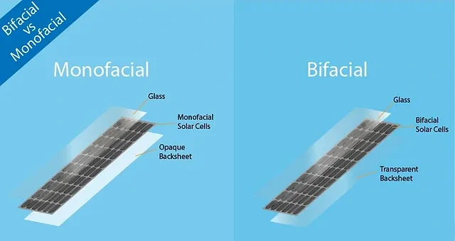 How Bifacial Solar Panels Might Shape the Future of Agrivoltaics by